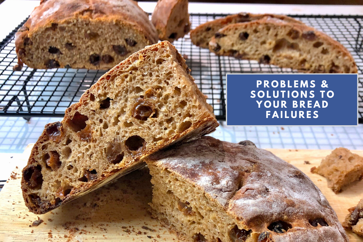 Why Did My Bread Fail? Reasons Why Your Bread Failed (& Solutions ...